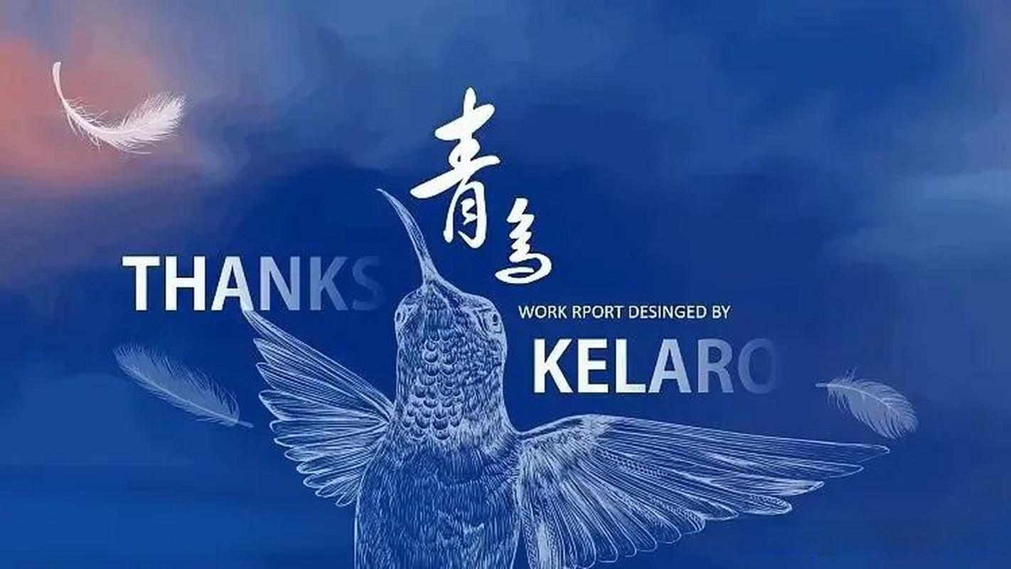 青鸟视频图标