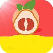 石榴视频app旧版本图标