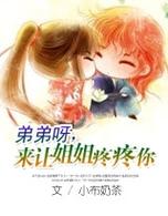 慧斯小说v205