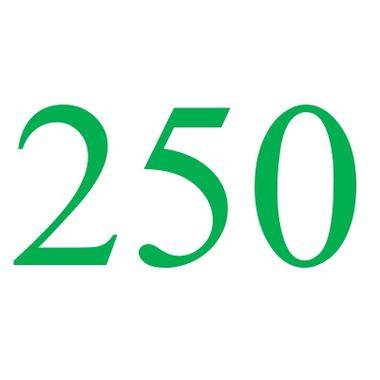 250挂机网图标