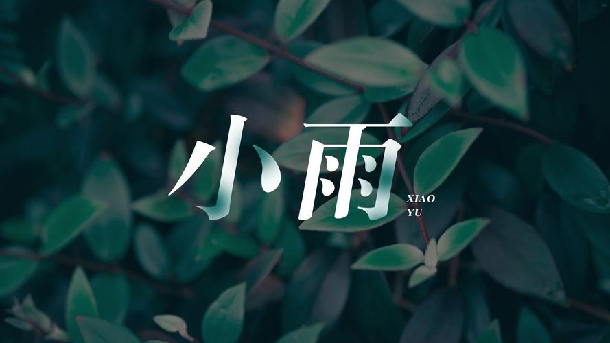 小雨接单平台截图