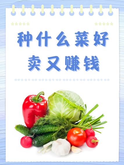 这菜真香赚钱版图标