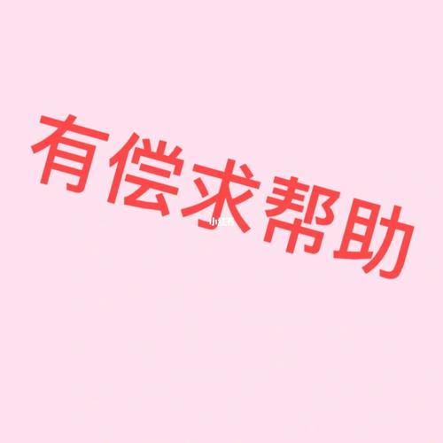 有偿帮忙