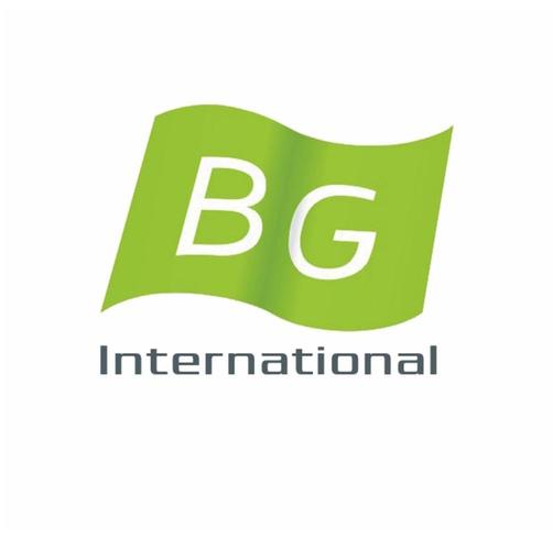 BGK邦加国际官截图