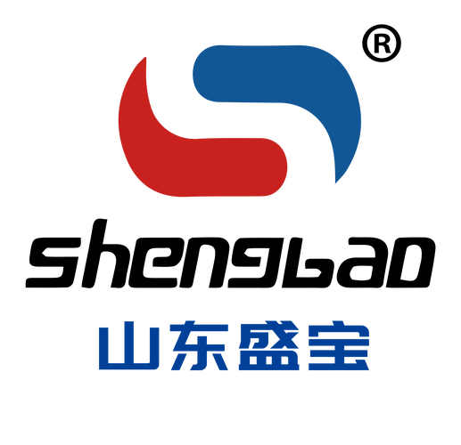 盛宝国际平台图标