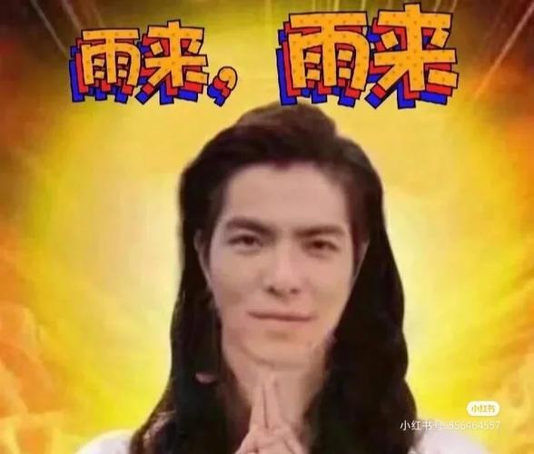 萧敬腾求雨表情包图标