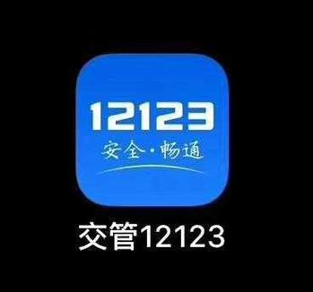 12123拍违章挣钱图标