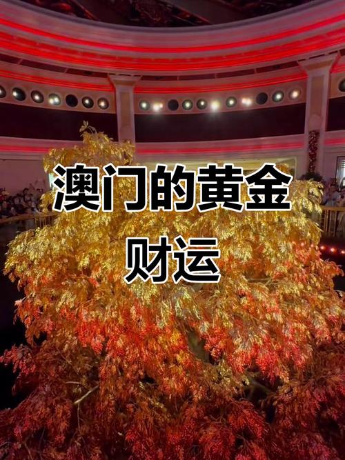澳门黄金娱乐截图