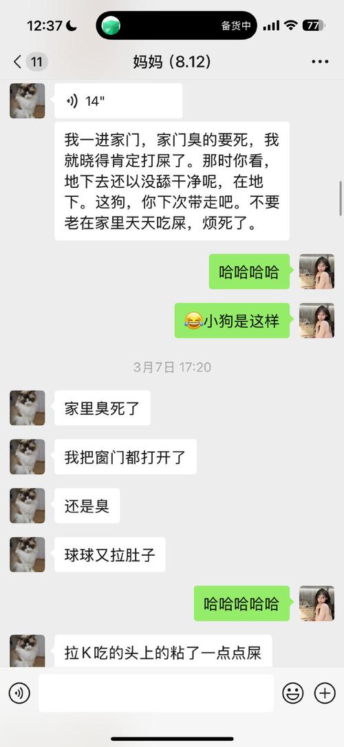 养狗大亨