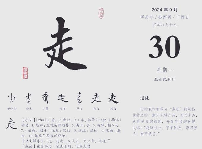 每日一走图标
