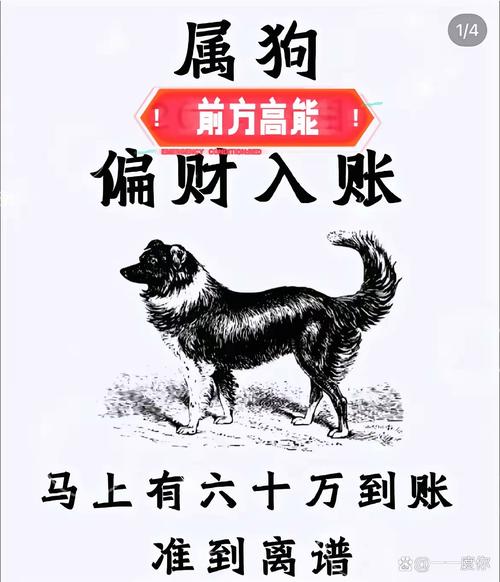 7号养狗场赚现金图标