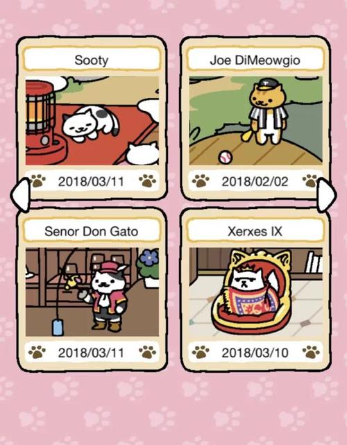 猫咪后院中文汉化截图