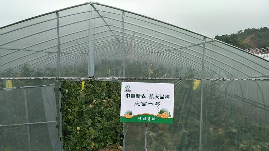 中睿新农截图