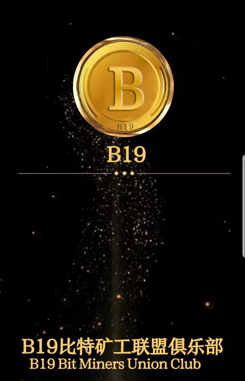 B19比特矿工手
