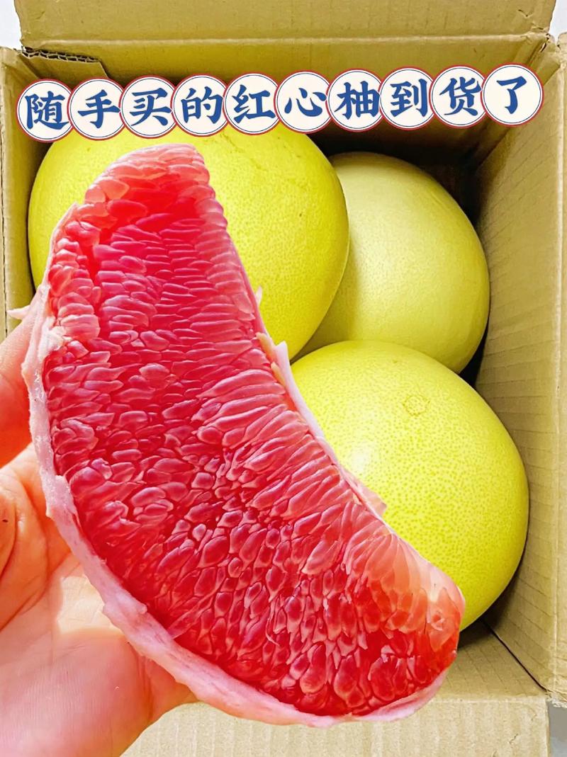 红心柚短视频
