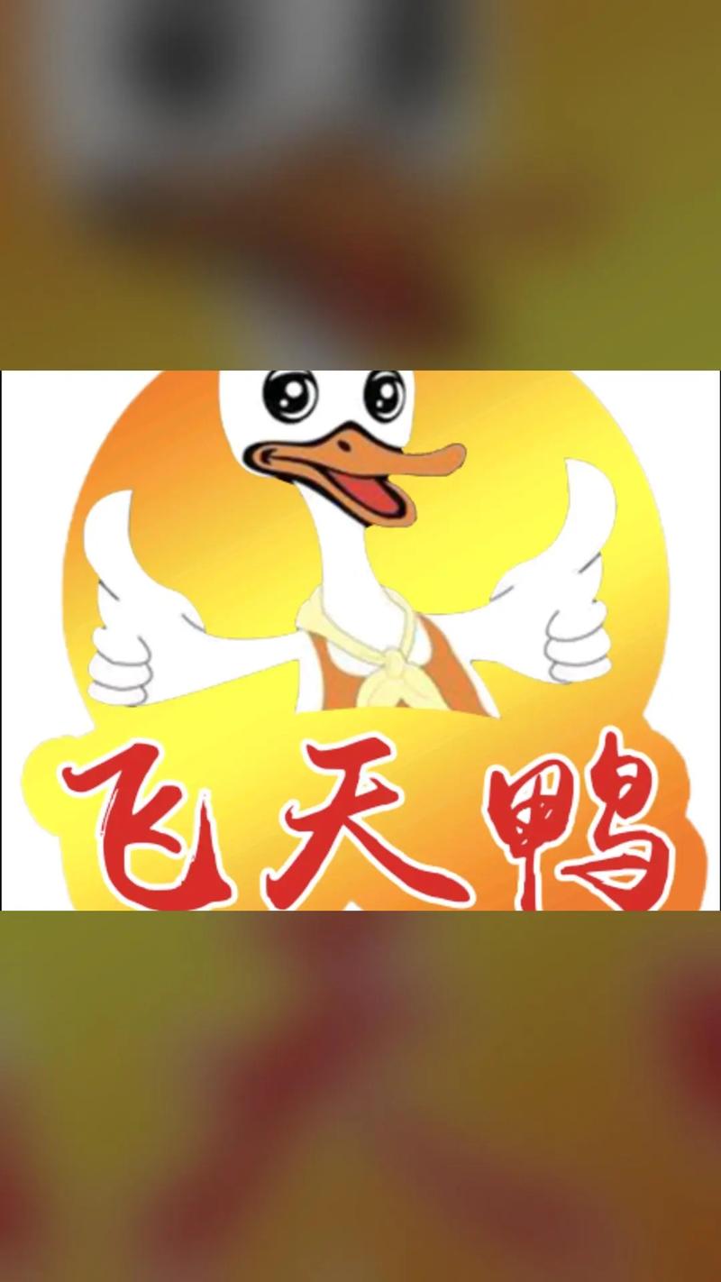 飞鸭AI挂机截图