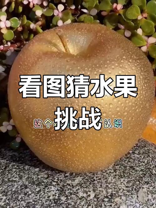 和我猜水果v2.3.0