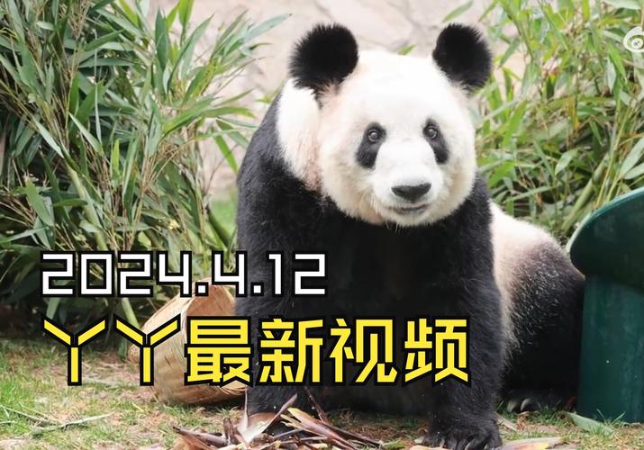熊猫视频免费版