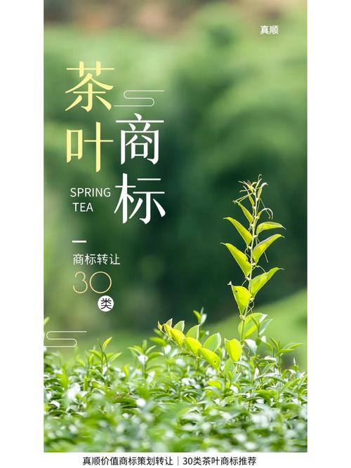 茶色直播