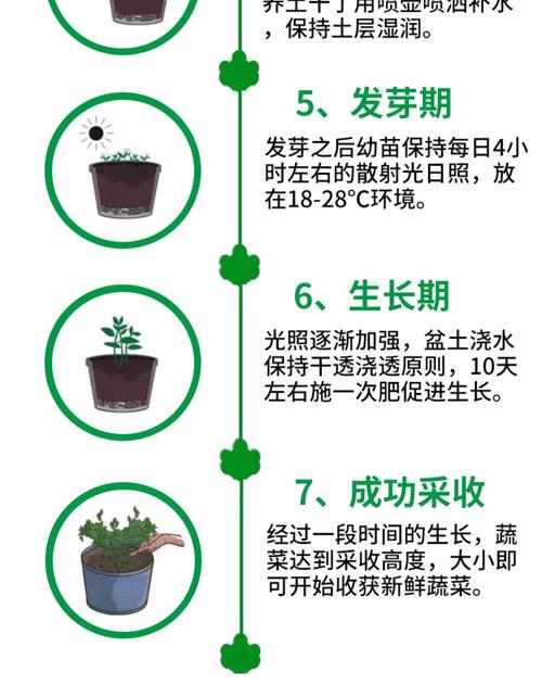 菠菜宝阅读赚钱福截图