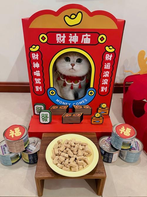 许愿猫心愿抽奖赚图标