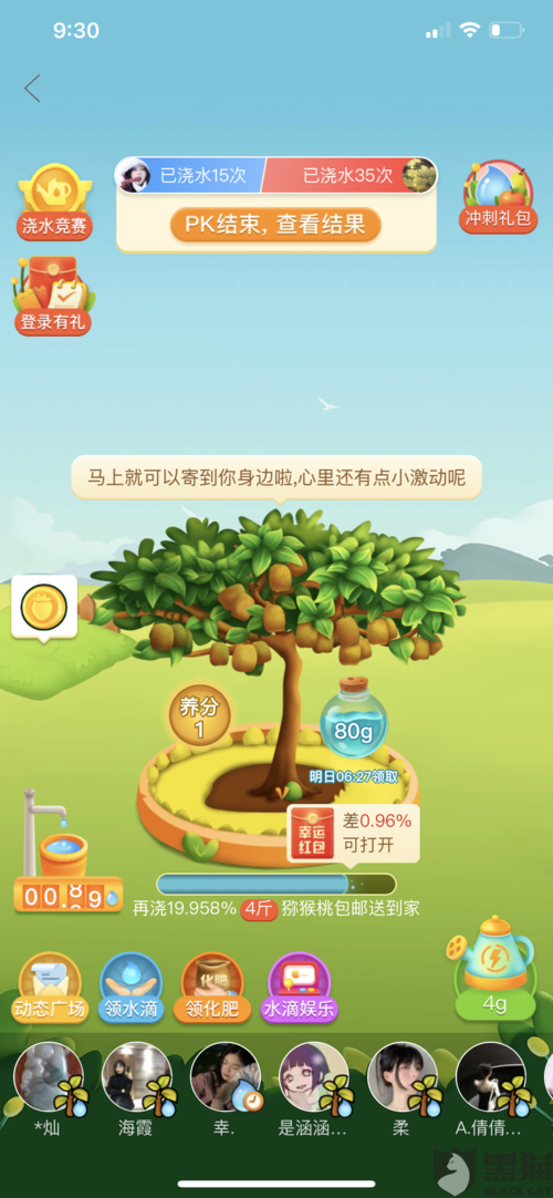拼多多果园竞赛答