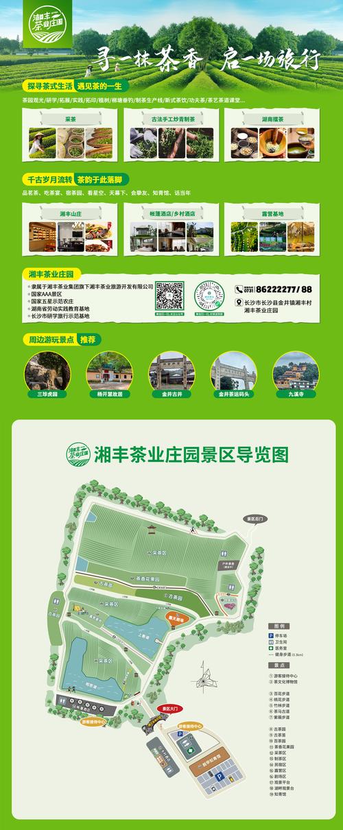 生态茶园种茶赚钱
