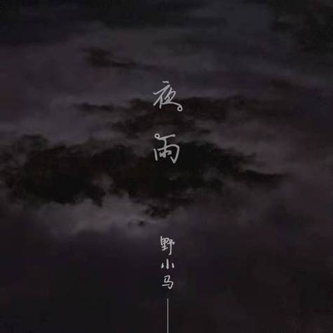 夜雨库图标