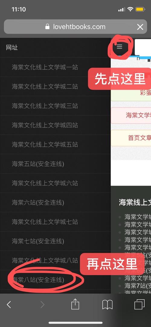 龙马海棠网小说在图标