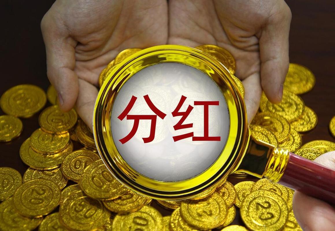 分红岛红包版图标