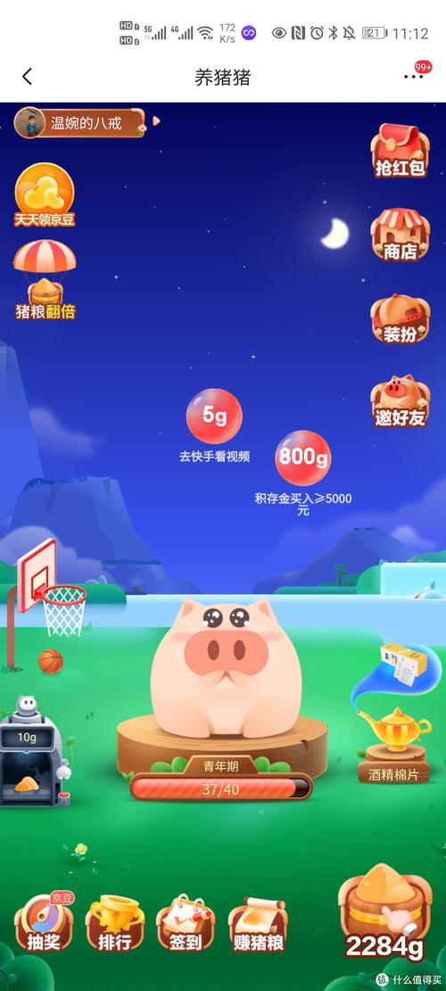 京东养猪猪游戏