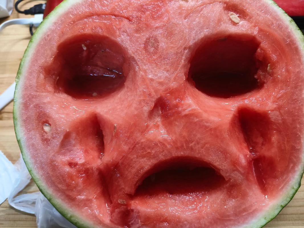 超级西瓜进化史红包版