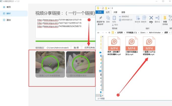 畅想视频