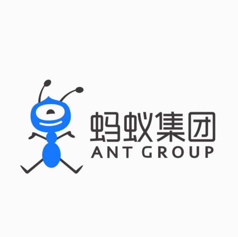 蚂蚁接单