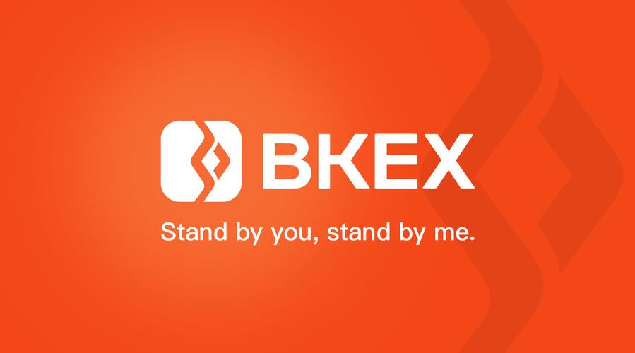 Bkex截图