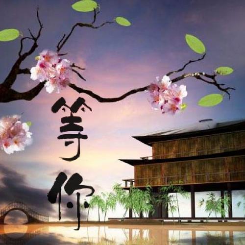 等你视频