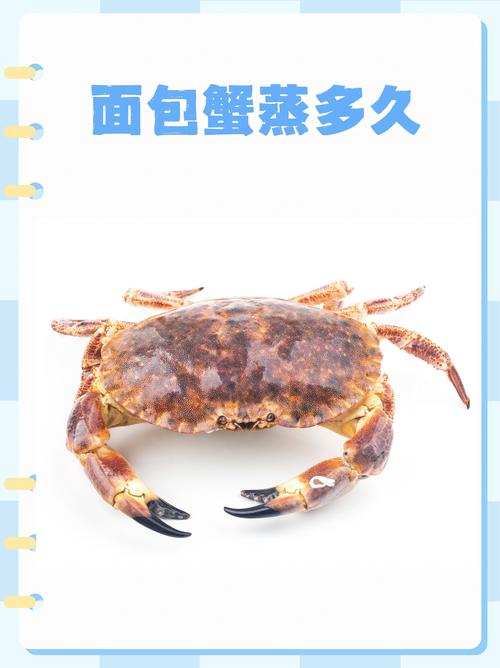 面包蟹app