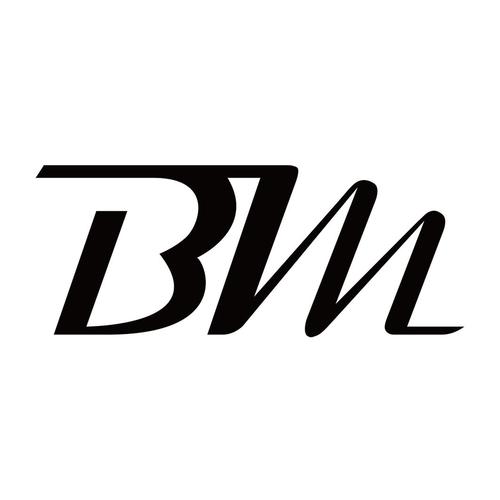 BM正式版截图