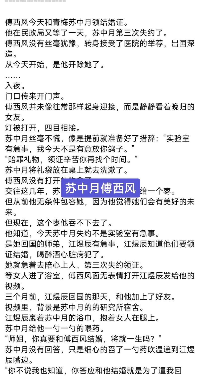 西风阁小说
