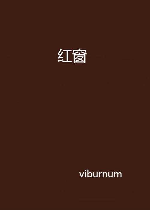 红窗小说免费版图标