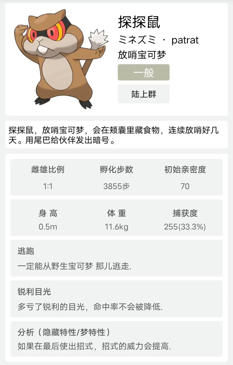 探探鼠app
