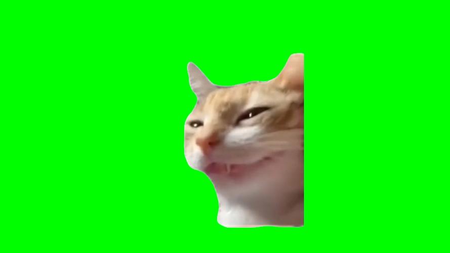 坏坏猫官网苹果本截图