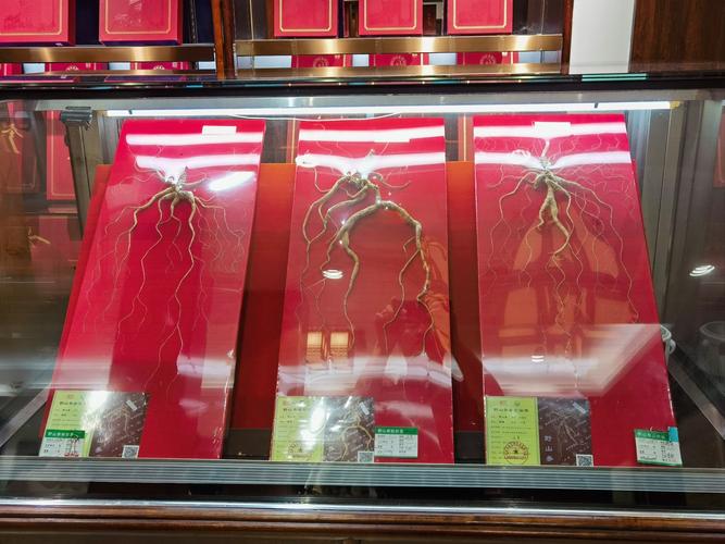 人参王内购版图标