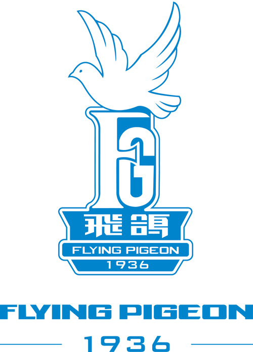 飞鸽验证码截图