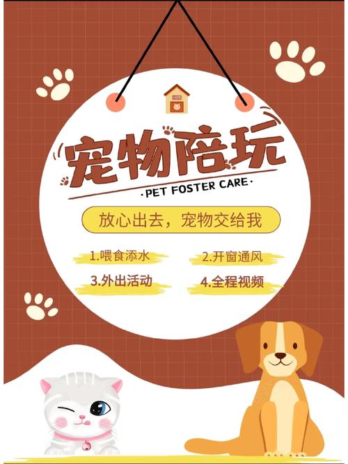 代遛狗截图