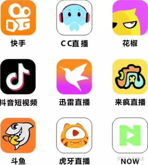 掌上大明星赚钱版