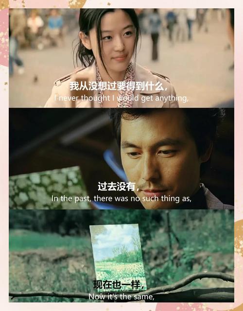 雏菊任务
