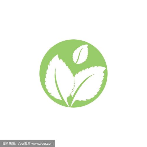 薄荷接单2020