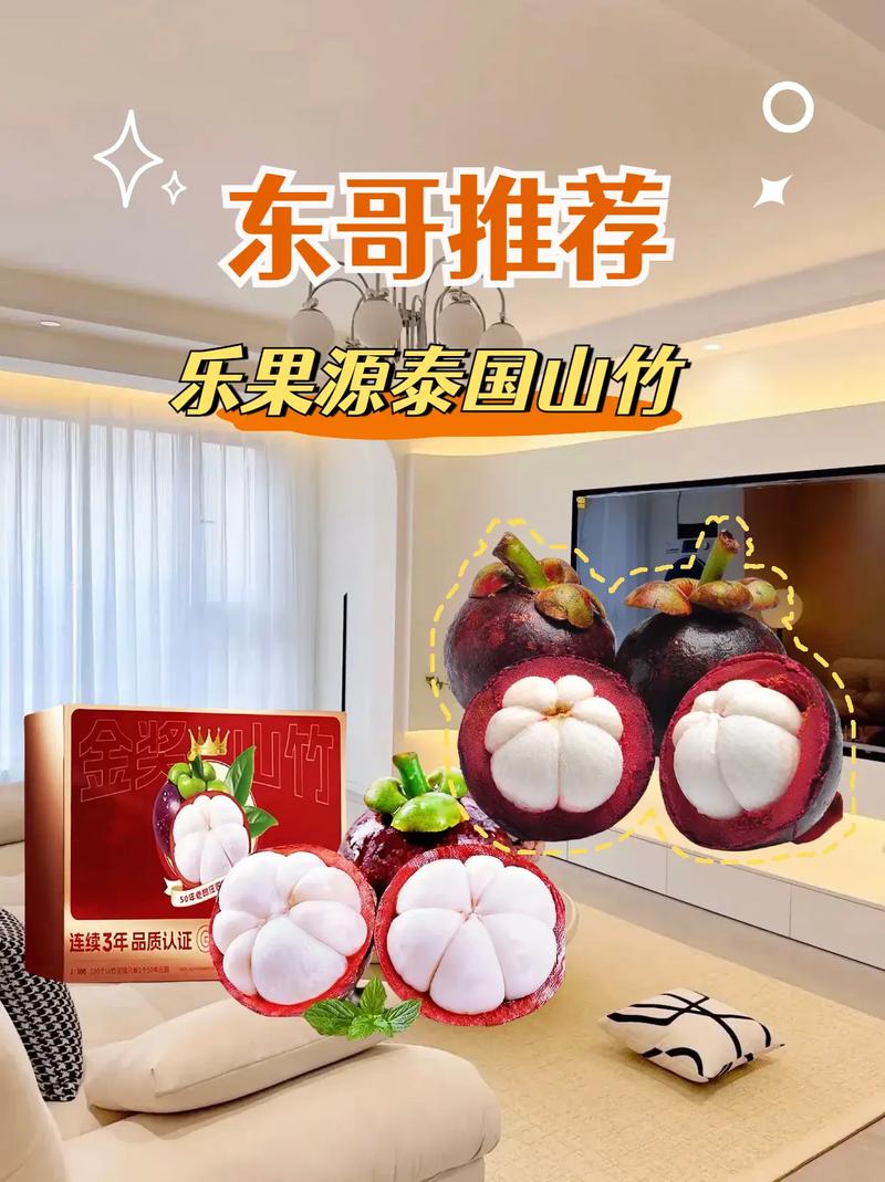 山竹视频正版红包版图标