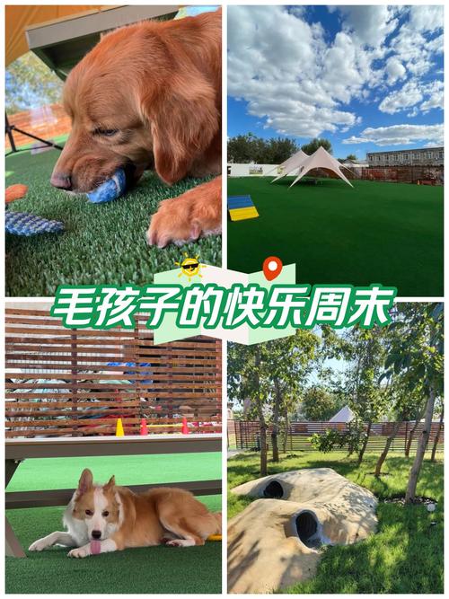 开心宠物庄园